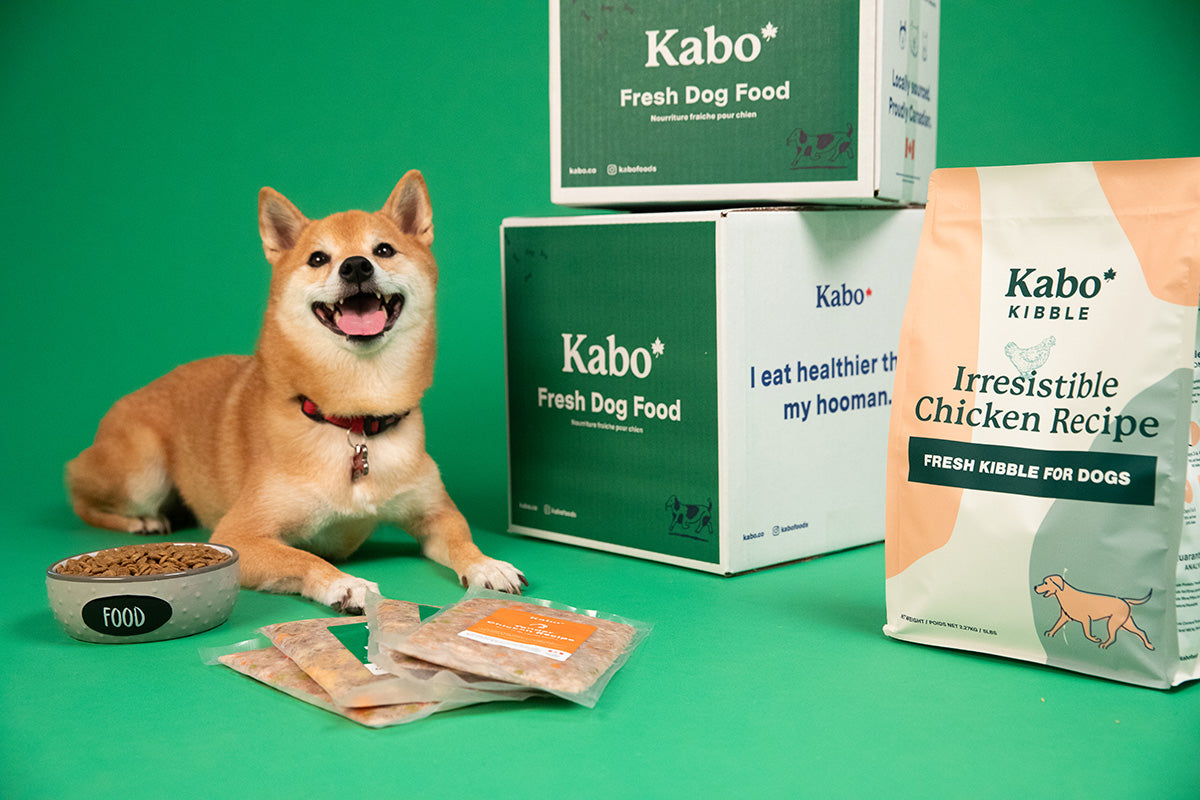 Signup – Kabo